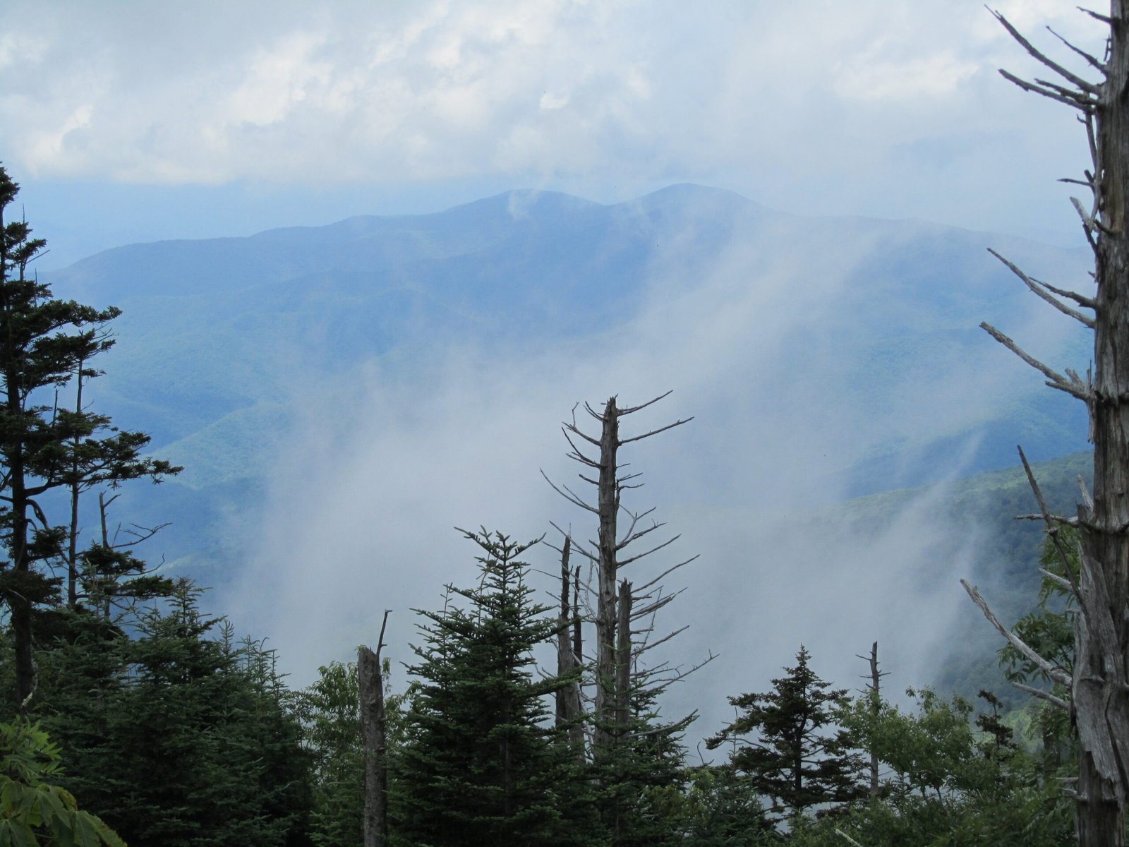 Obscured Vision - Cheryl Barker