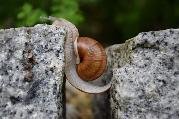 Guest Blogger Debra Butterfield: Are You Fully Convinced? - Cheryl Barker